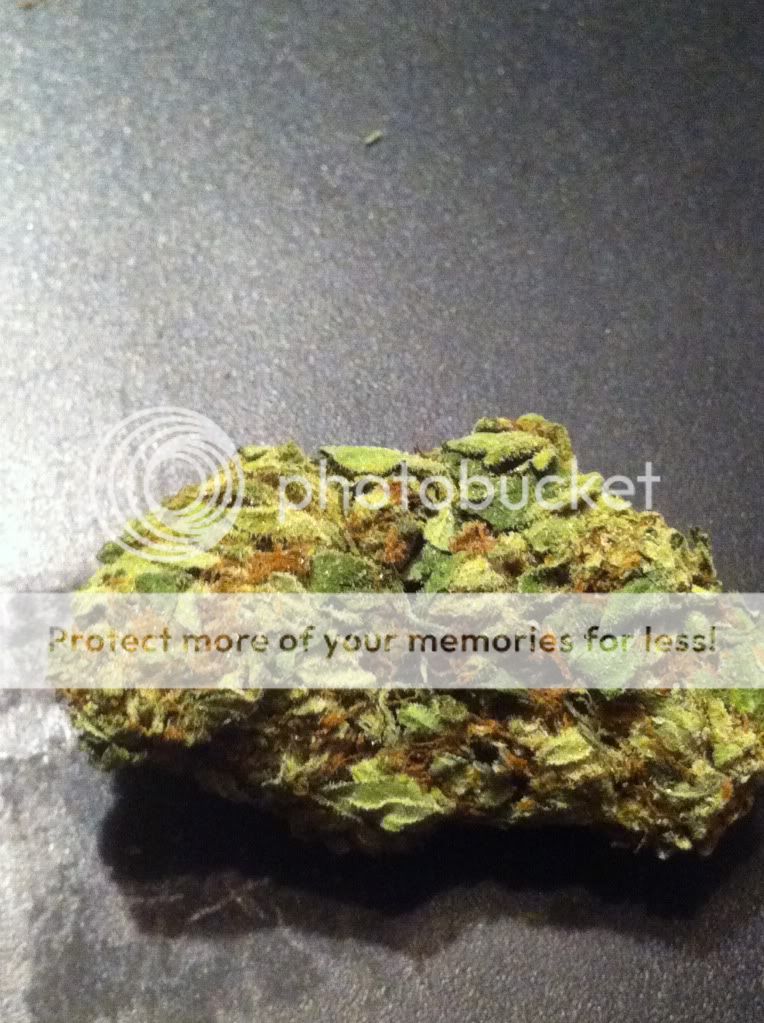 Exotic Strain : Bubba Snow Cap | Grasscity Forums - The #1 Marijuana ...